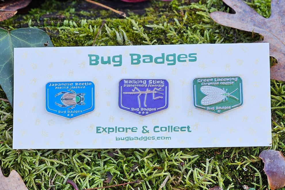 Bug Badges - Discover Insects & Collect Pins!