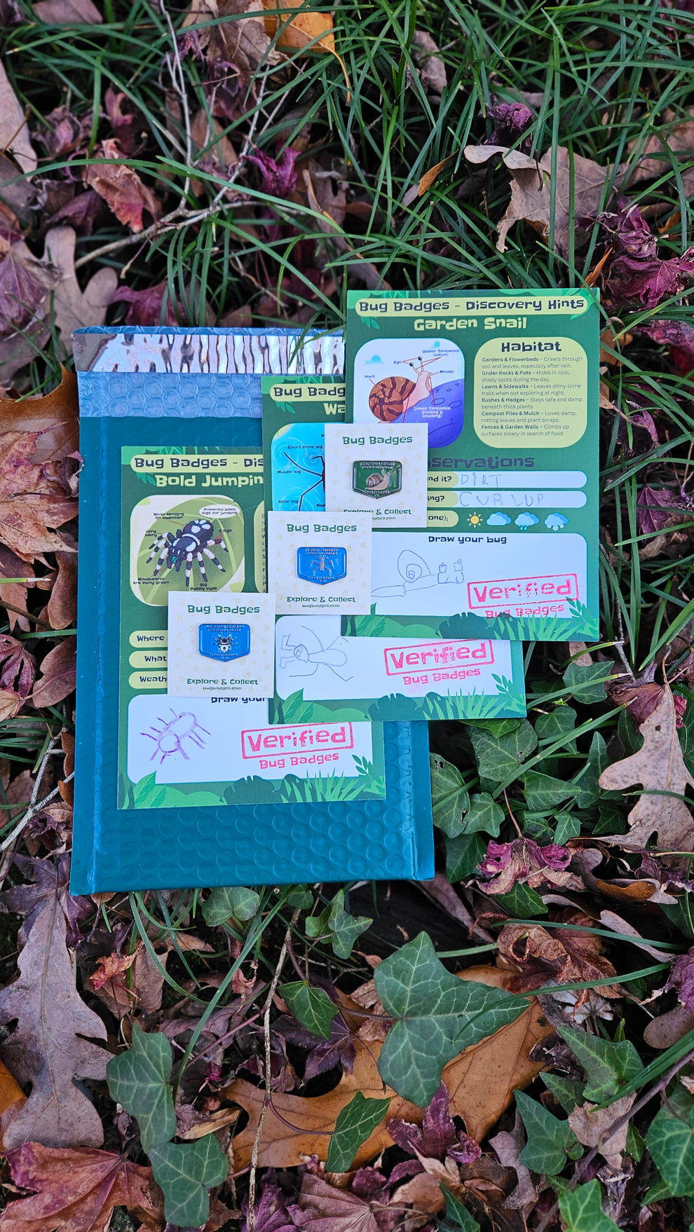 Bug Badges - Discover Insects & Collect Pins!